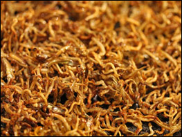 Myulchi - Korean side dishes with dried anchovys